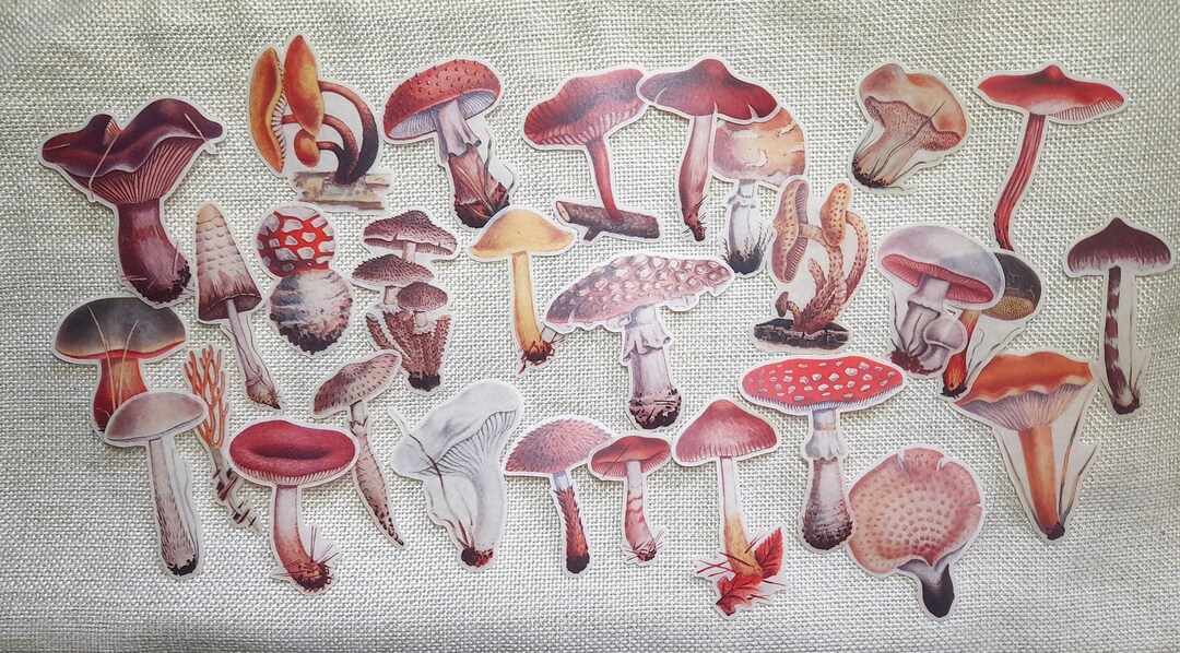 Vintage Mushrooms Stickers Botanical Stickers 29 Pcs Travel Bullet ...