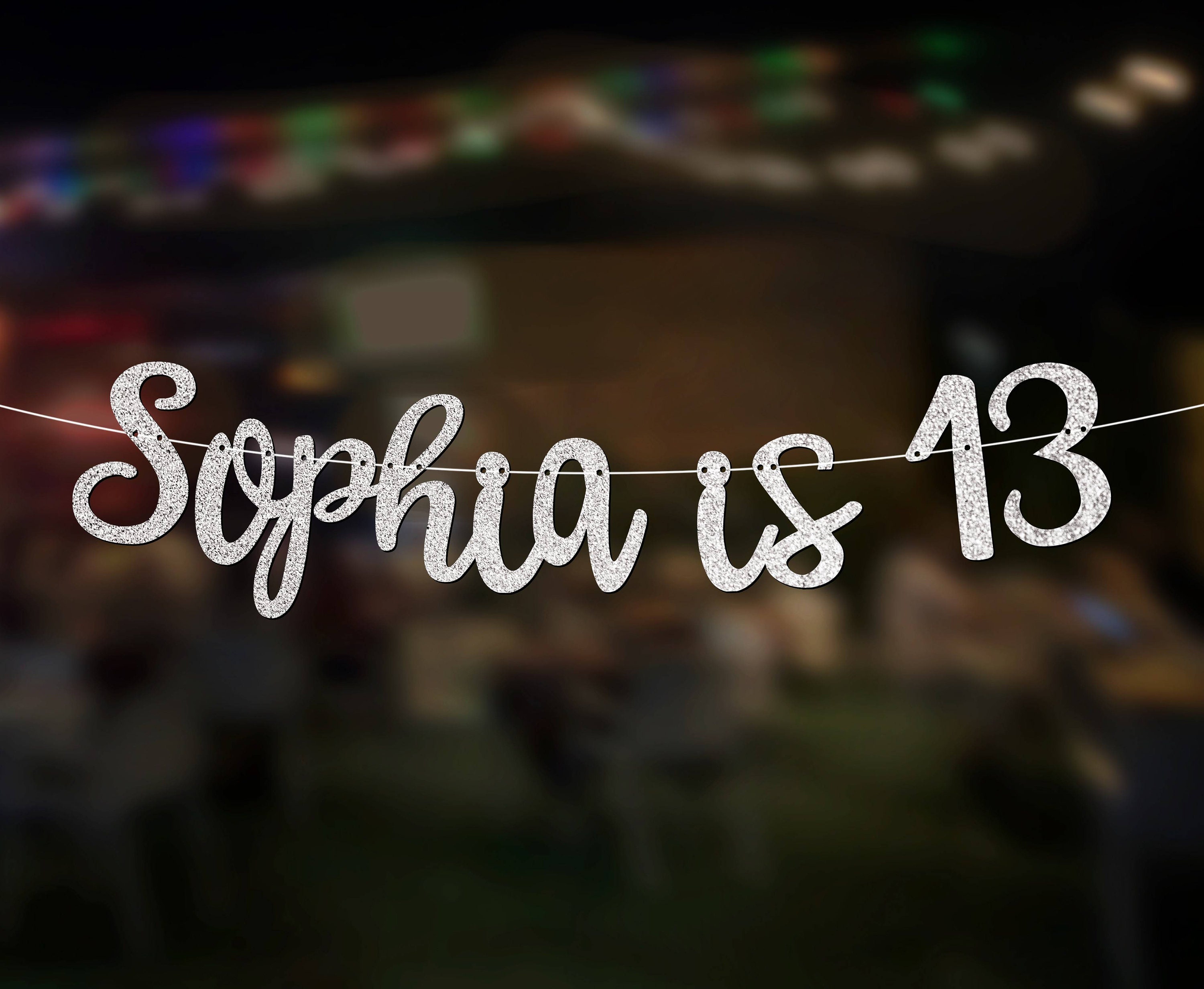 Personalised Custom 13th Birthday Banner Party Decorations ANY | Etsy