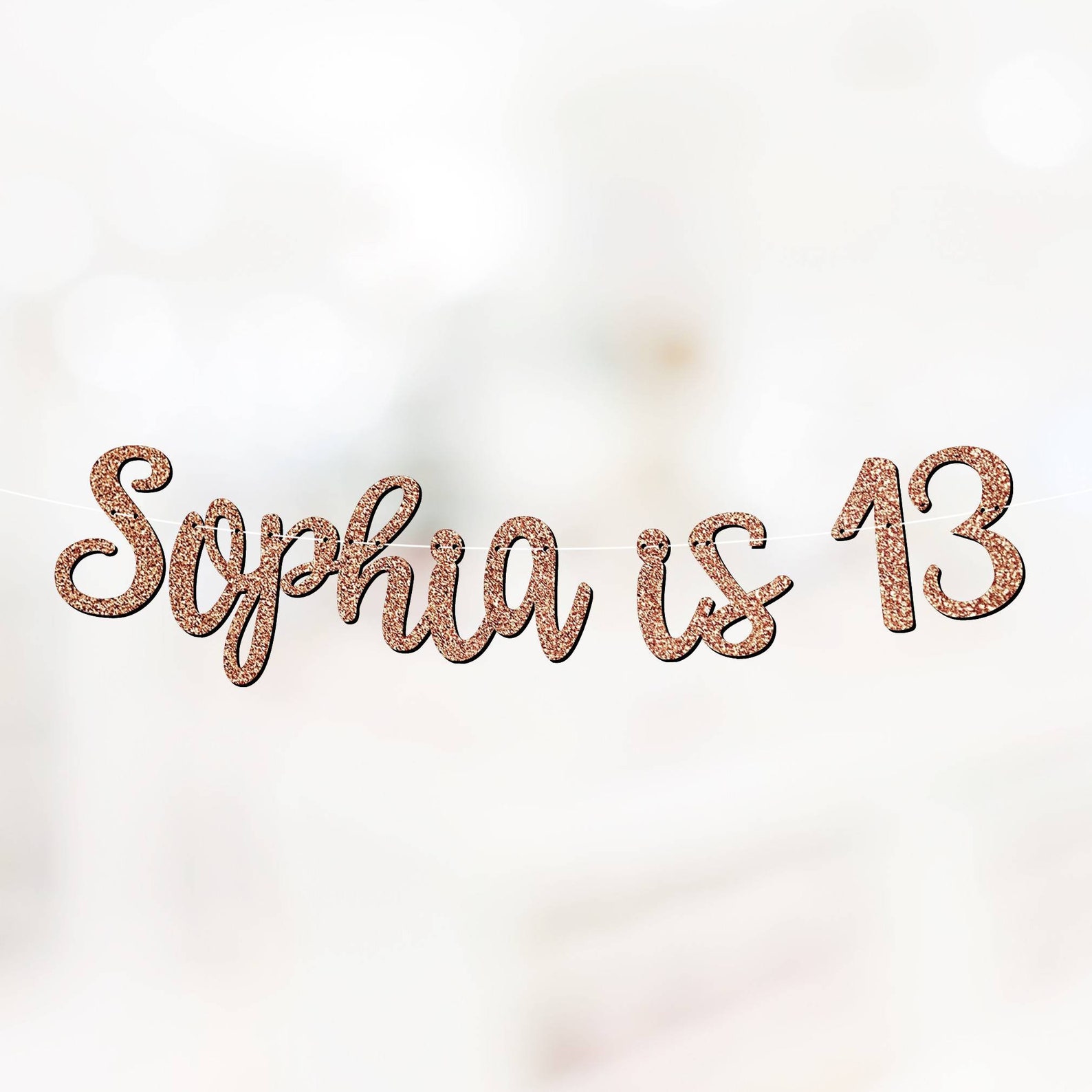 Personalised Custom 13th Birthday Banner Party Decorations ANY - Etsy