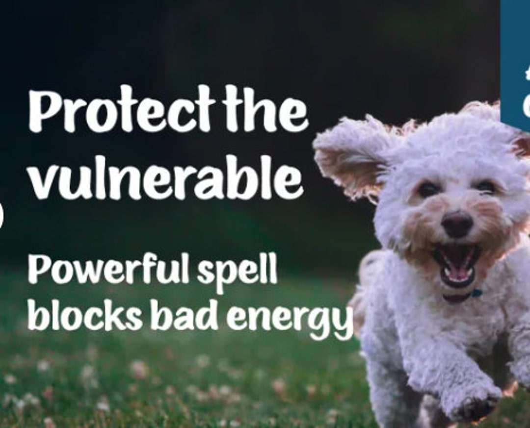 Pet Protection Spell Make Them Protected From the Evil Energies Around ...