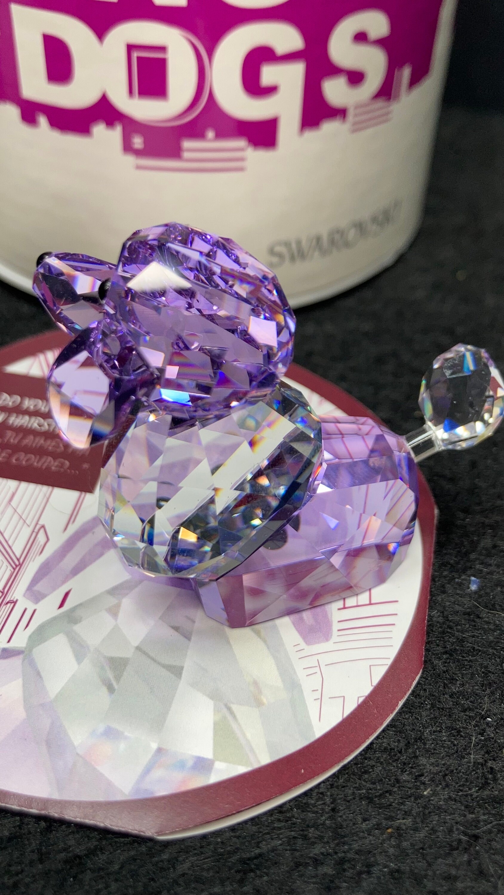 Swarovski the Gang of Dogs Collection Violetta 0935719 Retired Complete ...