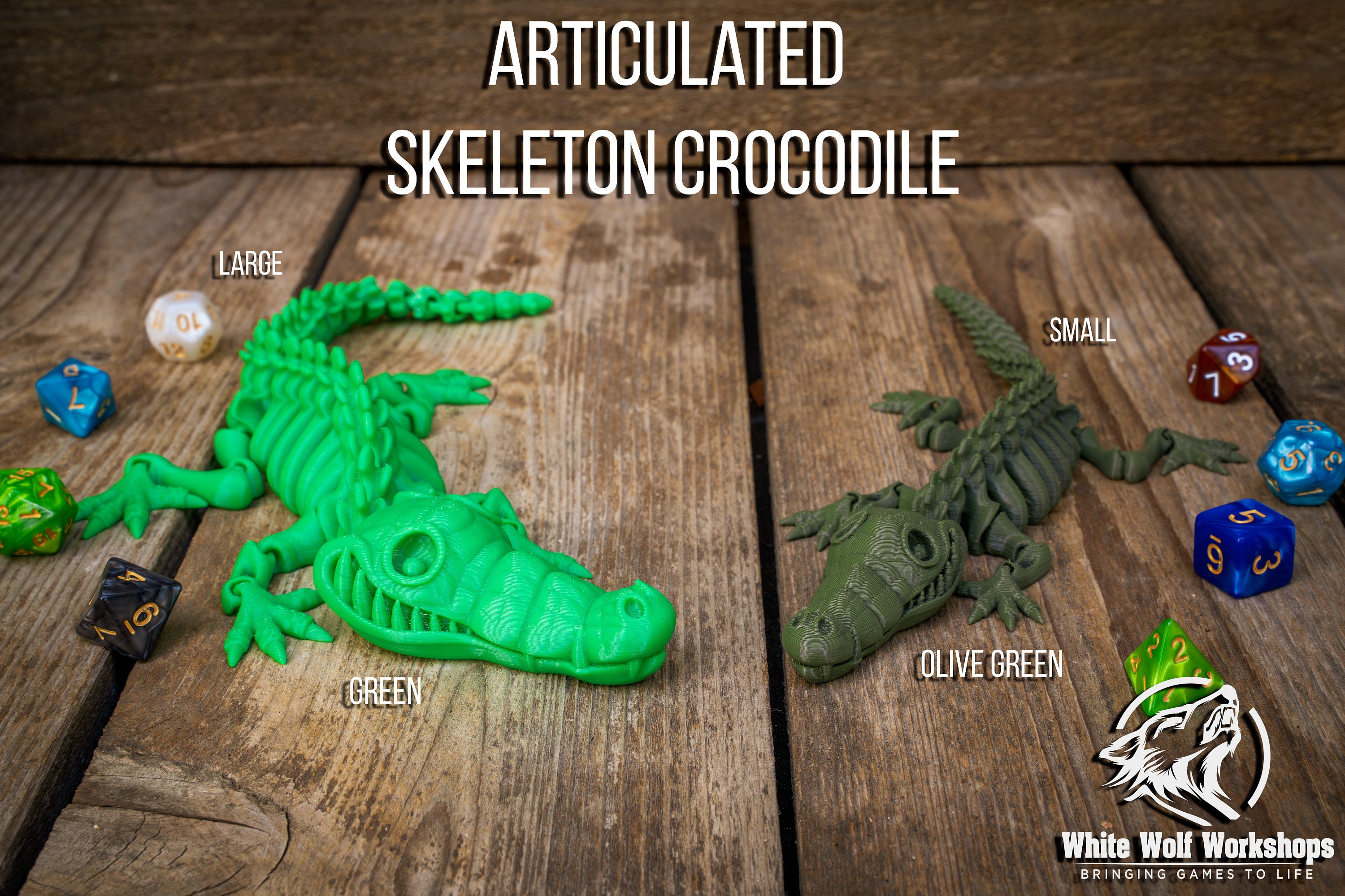 Crocodile Skeleton Labeled