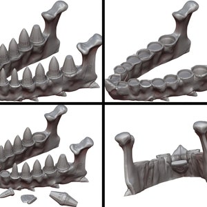 Dragon Teeth Dice Set | Tabletop Fantasy Role Play RPG Gaming Cosplay ...