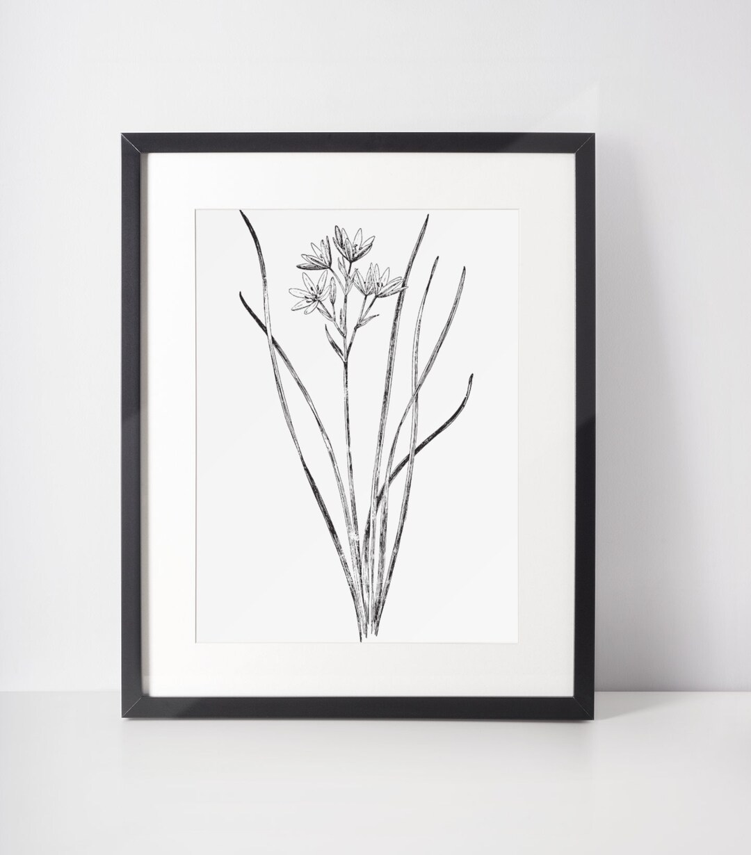 Simple Illustration of a Plant Wall Decor, Digital Download, Botanical ...