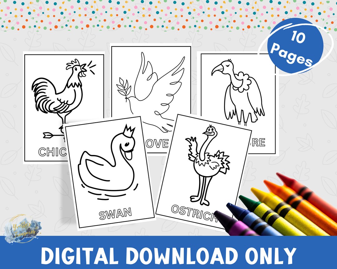 10 Cute Bird Coloring Pages, Digital Preschool Coloring Pages ...