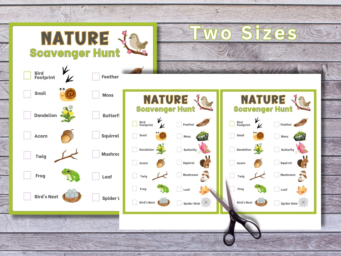 Nature Walk Scavenger Hunt Printable, Classroom Treasure Hunt, Kids ...