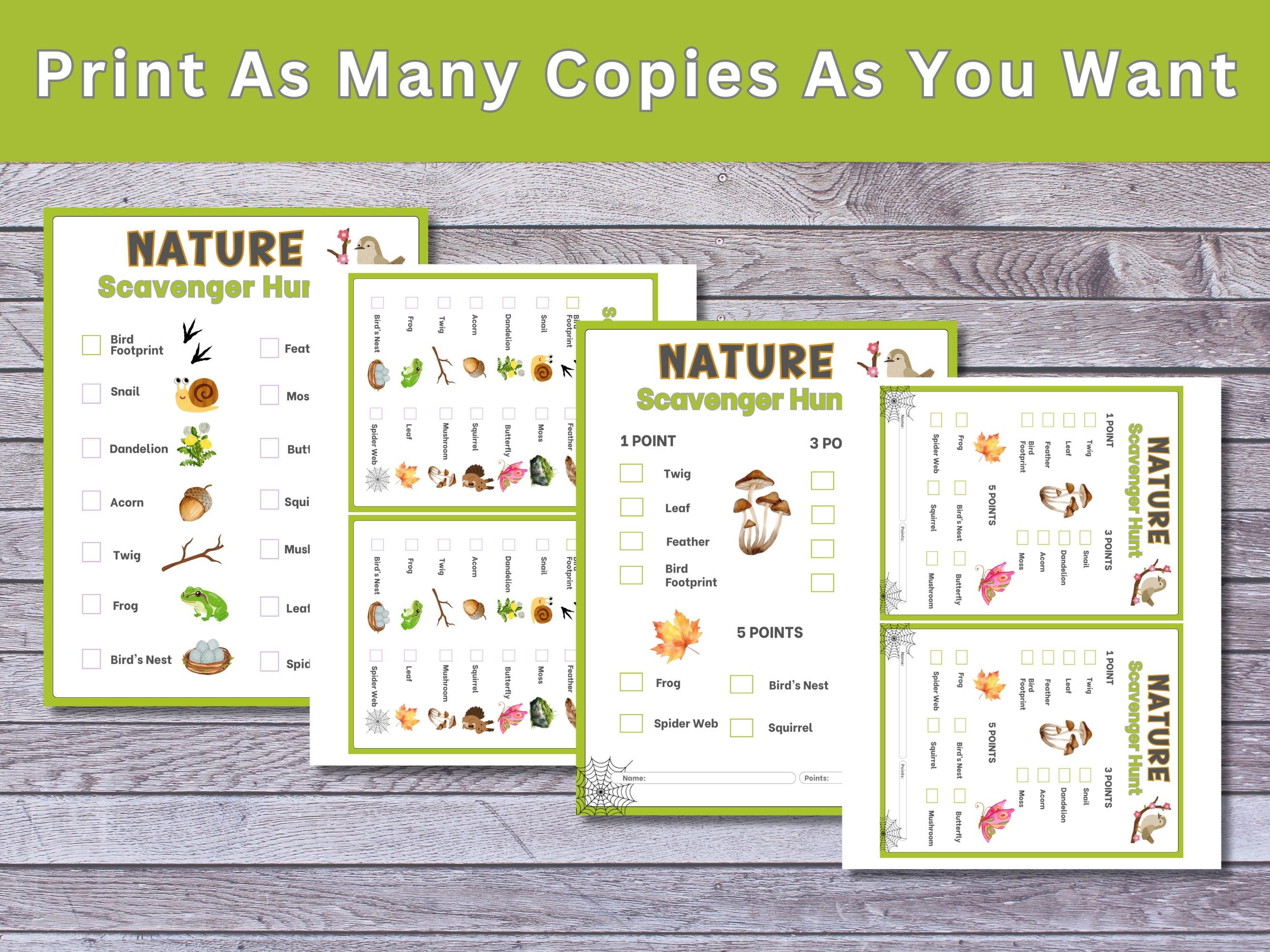 Nature Walk Scavenger Hunt Printable, Classroom Treasure Hunt, Kids ...