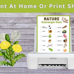 Nature Walk Scavenger Hunt Printable: Kids Outdoor Game (PDF) - Etsy