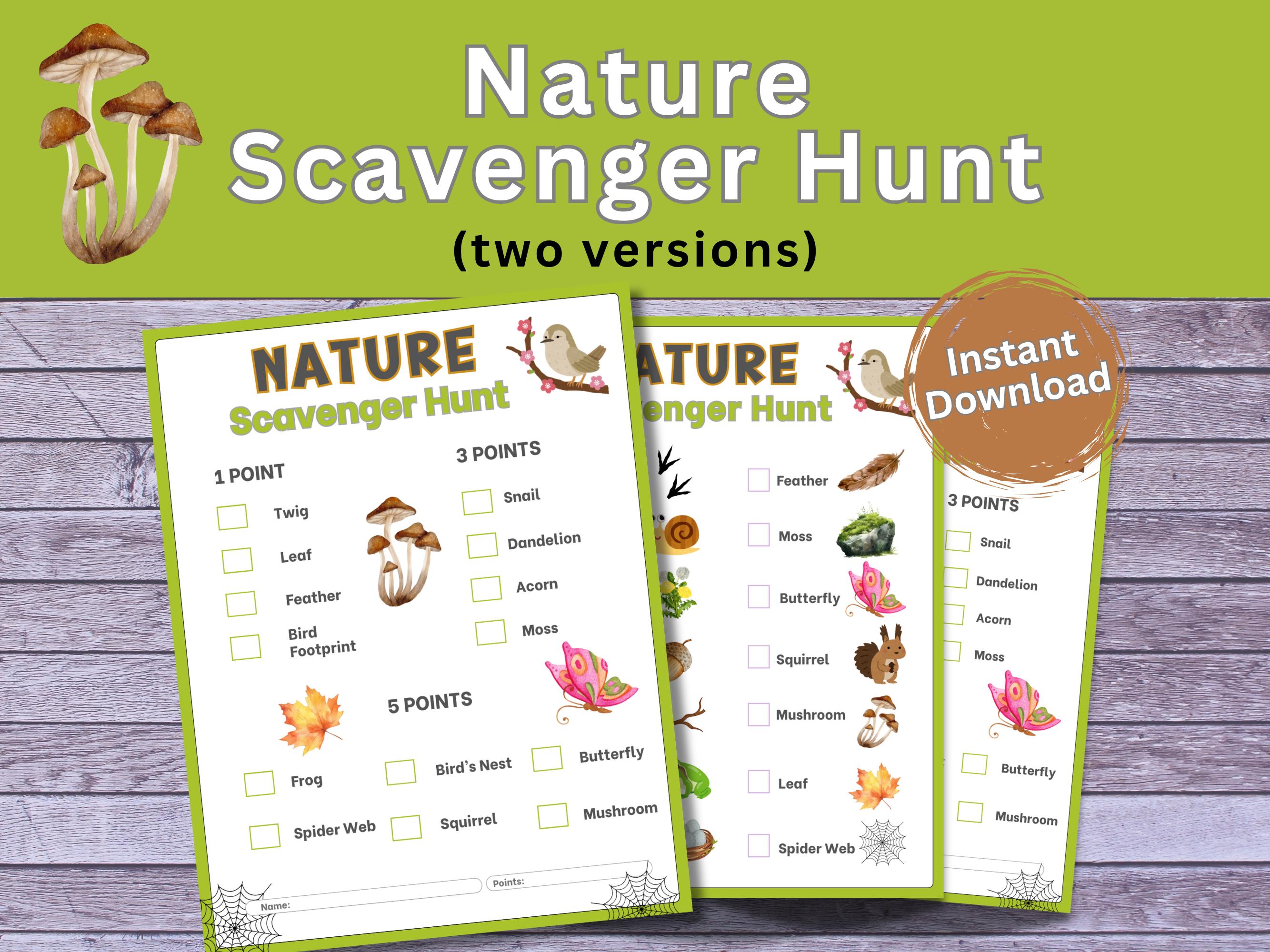 Nature Walk Scavenger Hunt Printable: Kids Outdoor Game (PDF) - Etsy UK