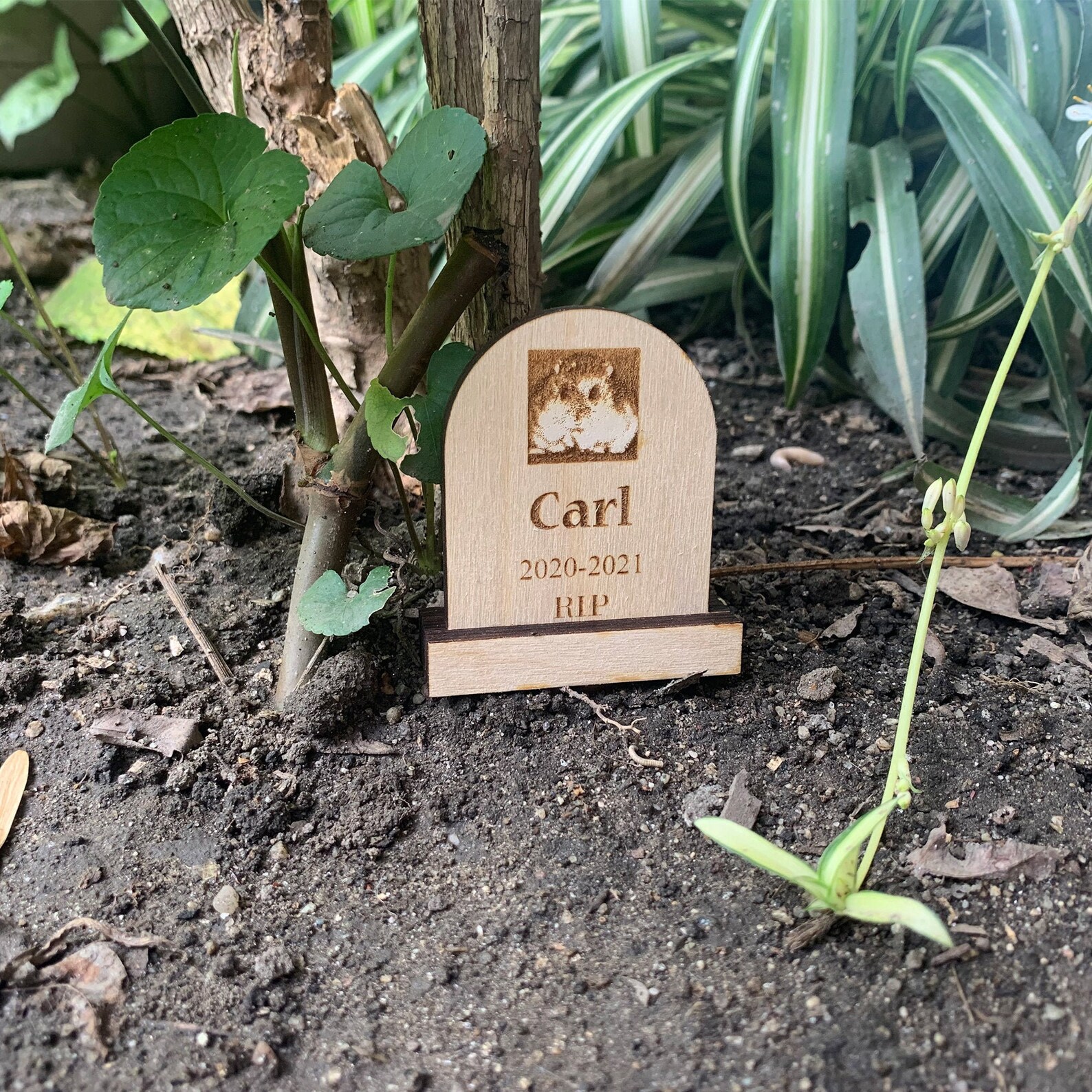Custom Hamster Grave Stone/ Memorial Grave Marker/ for Hamster Loss ...
