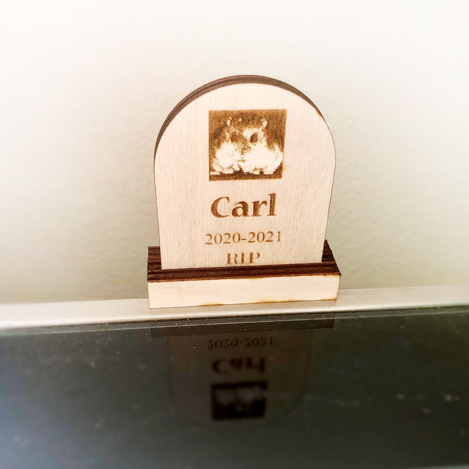 Custom Hamster Grave Stone/ Memorial Grave Marker/ for Hamster Loss ...