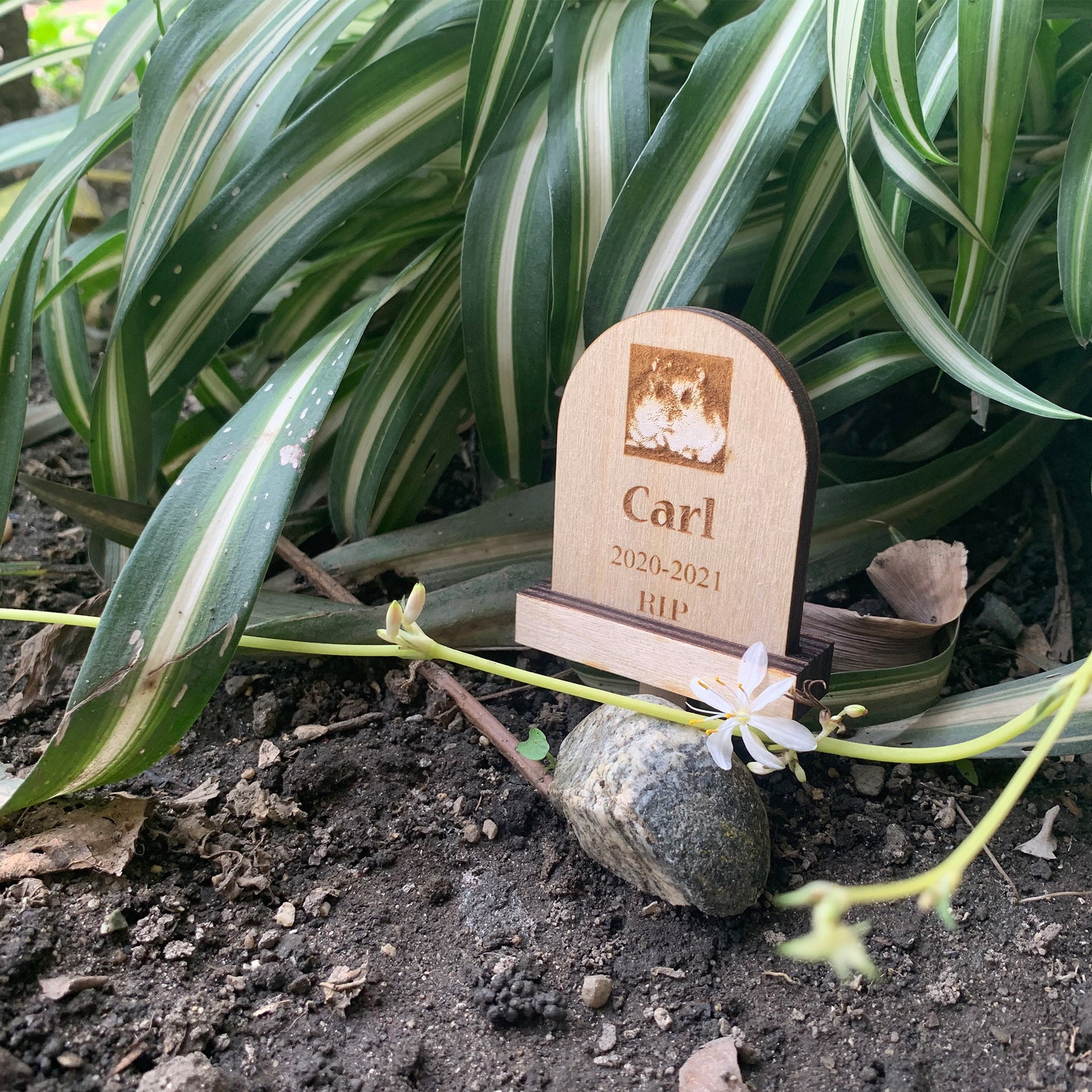 Custom Hamster Grave Stone/ Memorial Grave Marker/ for Hamster Loss ...