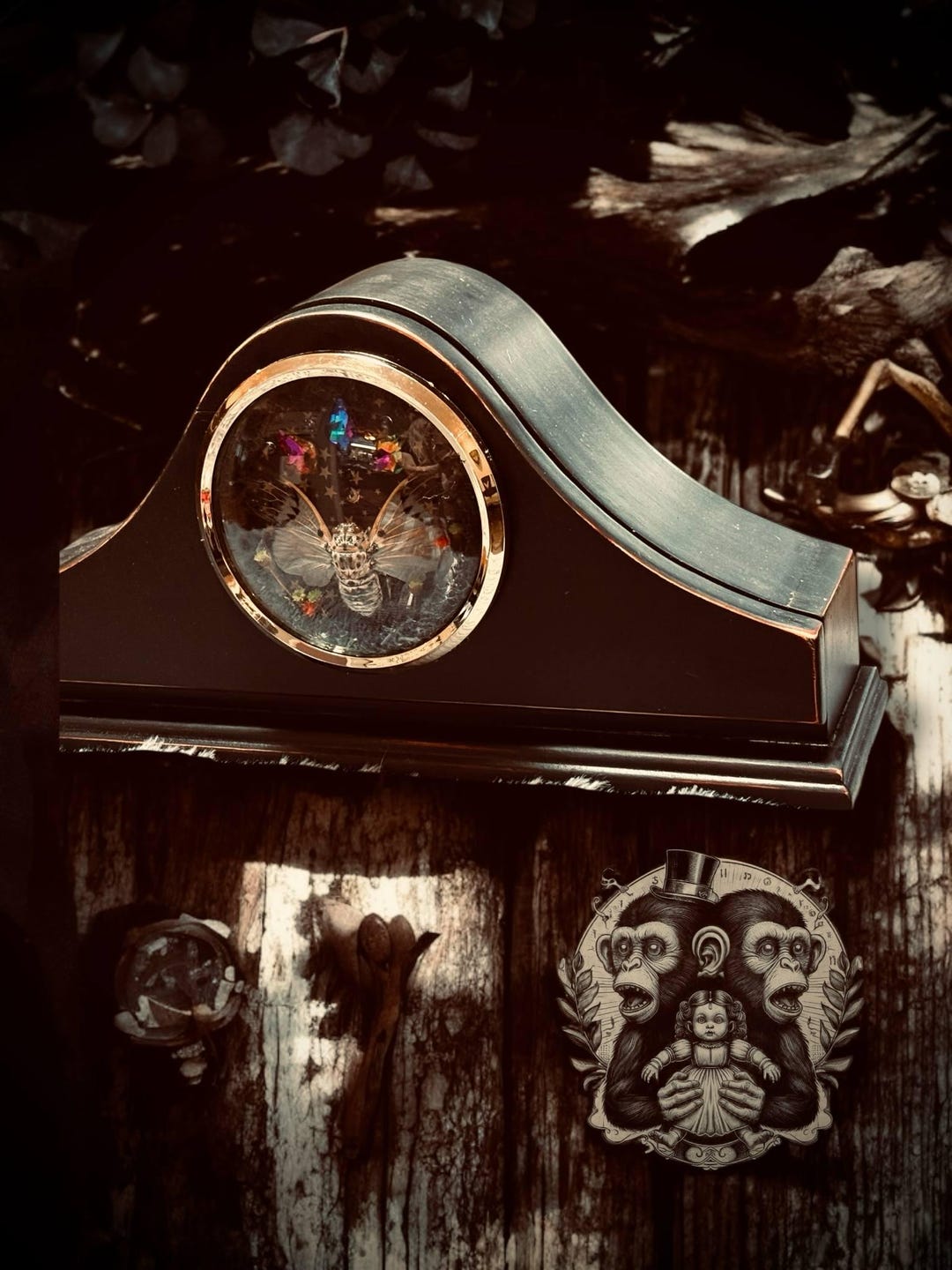 Ghost Cicada Ayuthia Real Insect Bug Display Oddity Oddities, Occult ...