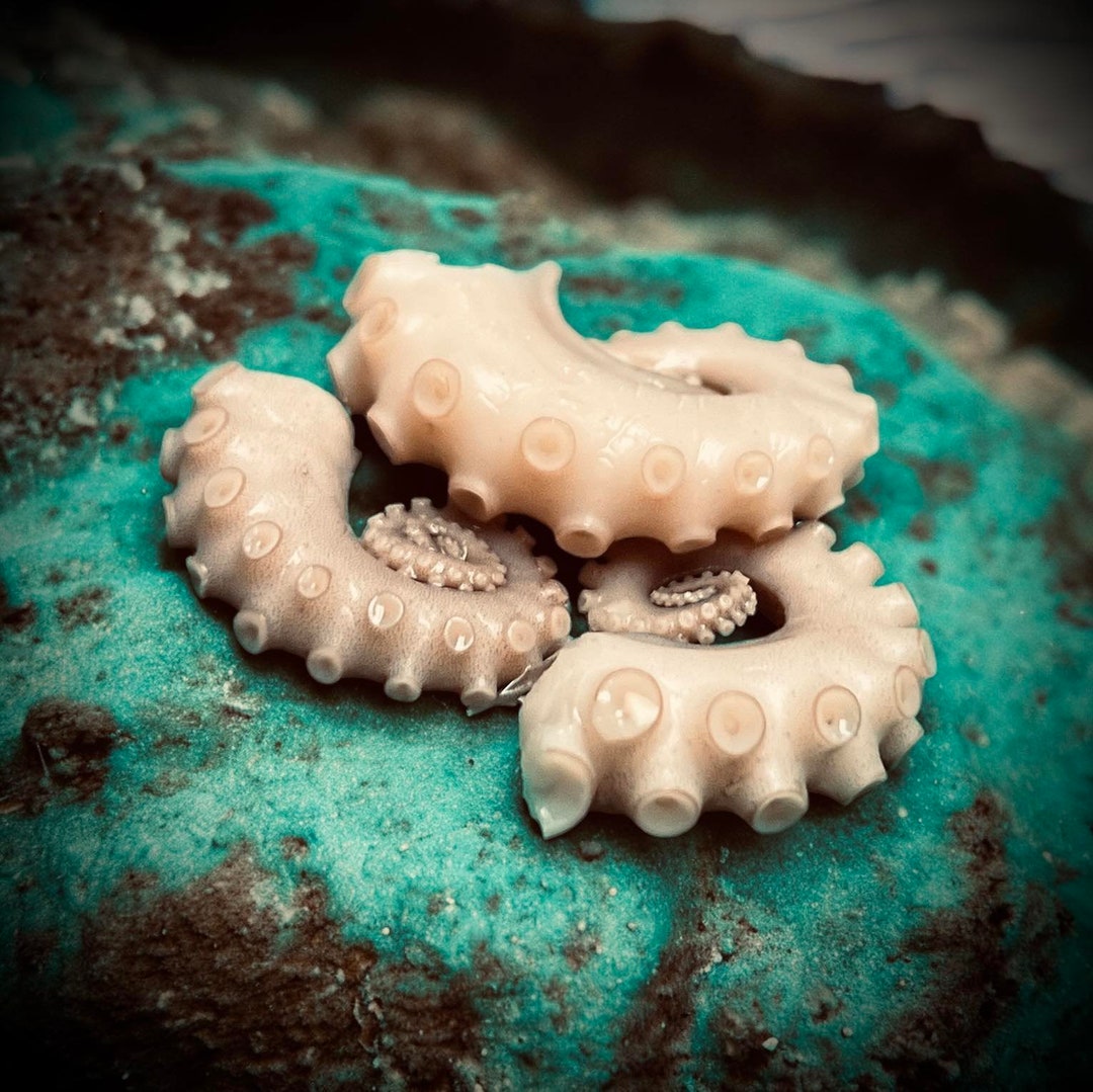 Octopus Tentacles Wet Specimen Unique Gift Idea Witchcraft Occult ...