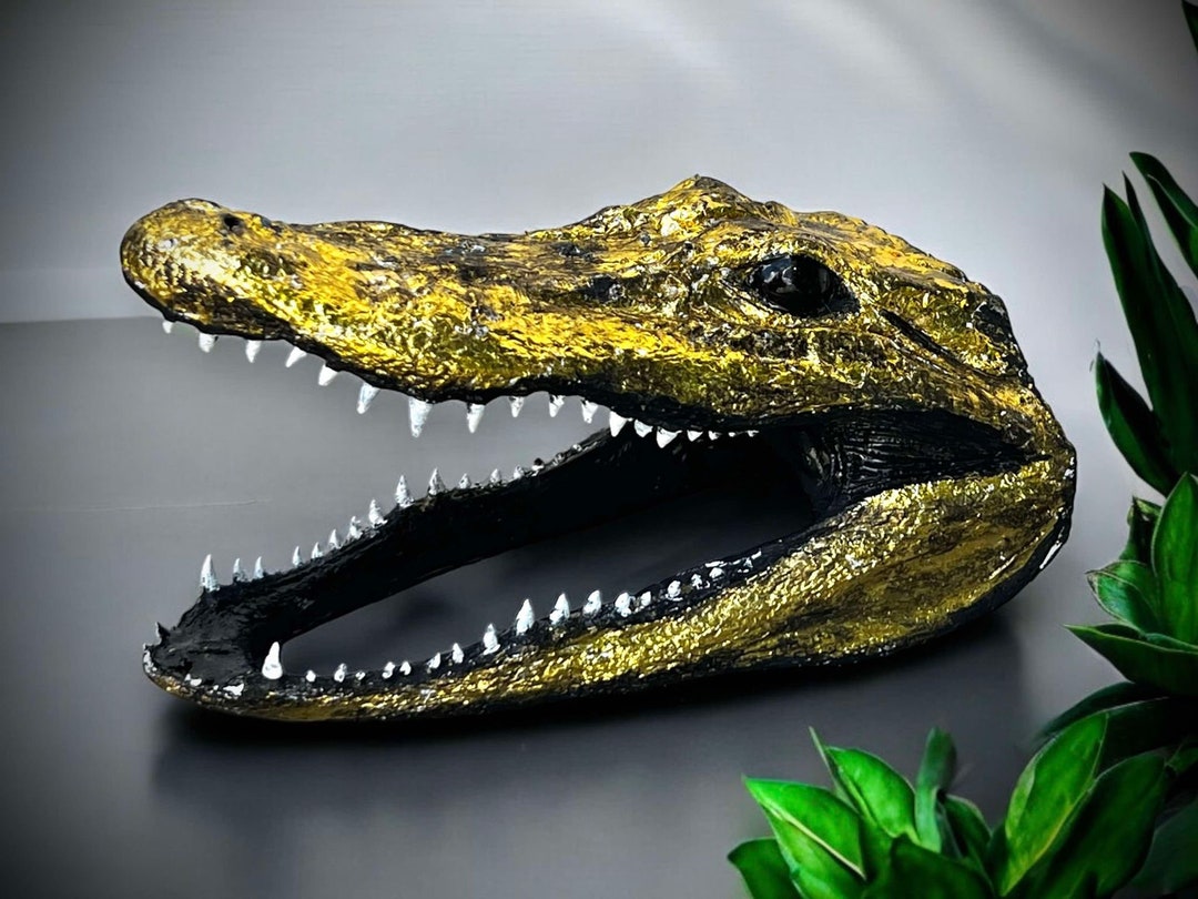 Alligator Head Mummified Gold Leaf Open Mouth Taxidermy Gift Idea ...