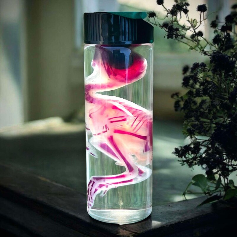 Diaphonization - Etsy