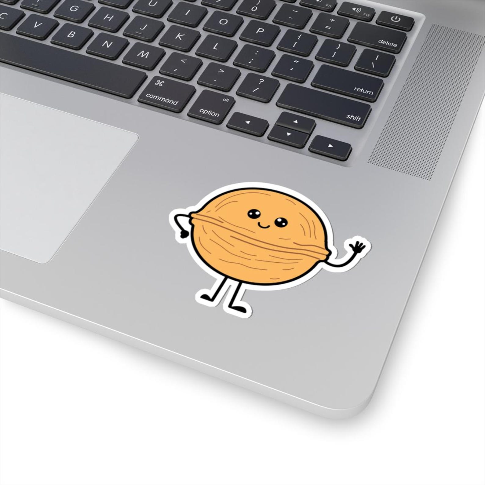 Walnut Sticker - Etsy