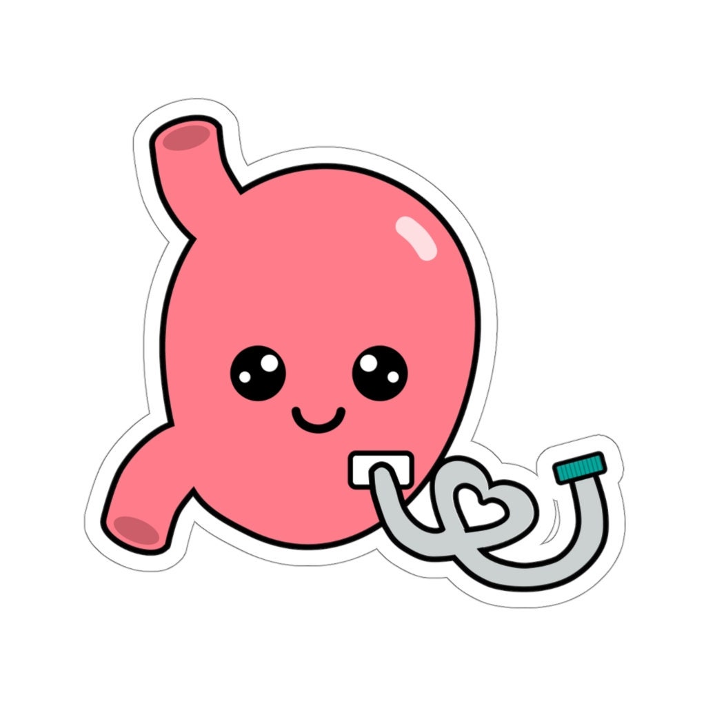 Stomach With Feeding Tube Sticker - Etsy