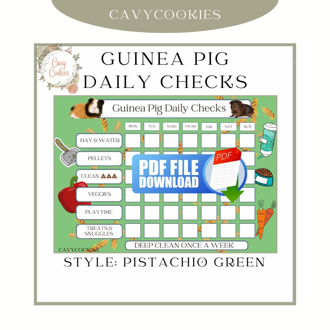 Guinea Pig Daily Checks, Guinea Pig Weekly Chores Checklist, Guinea Pig ...