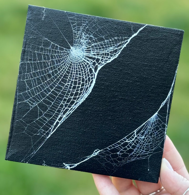 5x5 Black and White REAL Preseved Spider Web on Black Painted Canvas Halloween Decor Spooky - Etsy