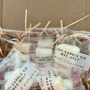 Fall Wax Melt Sampler Pack Set of 12 - Etsy