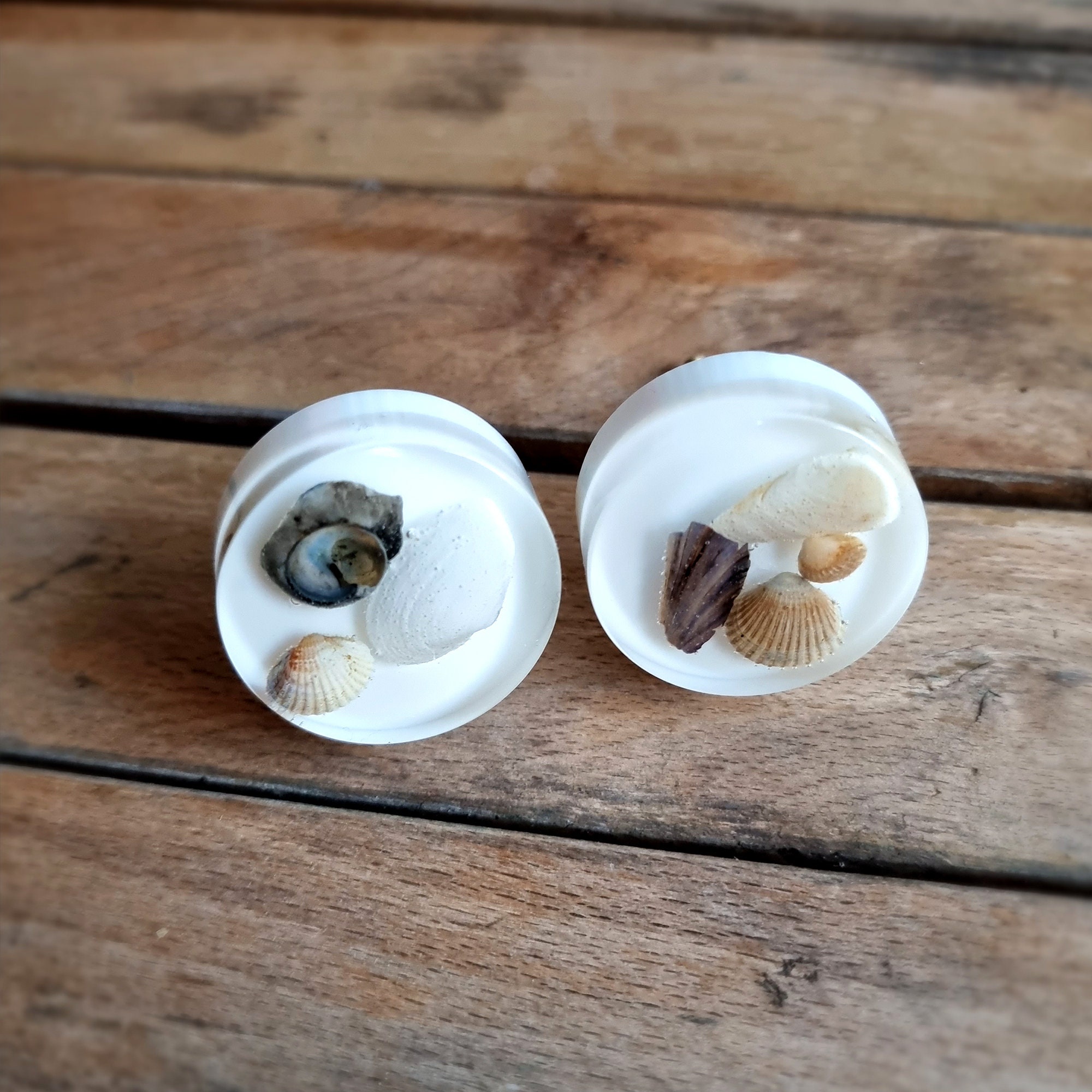 Home Improvement furniture knob with sea shells for cabinets ocean ...