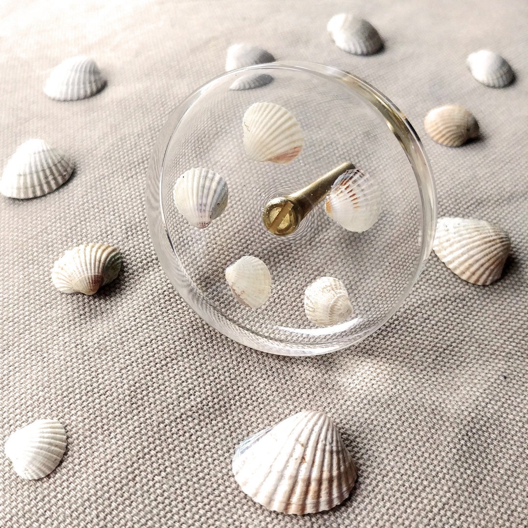 Ocean Inspired Drawer Pulls With Sea Shell, Vintage Style Handles for ...