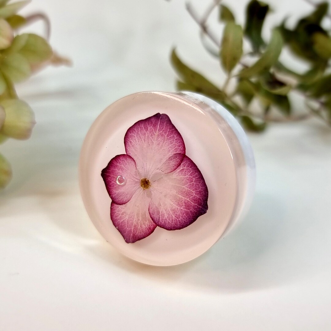Floral Resin Drawer Pull: Dried Hydrangea Brass Knob - Etsy