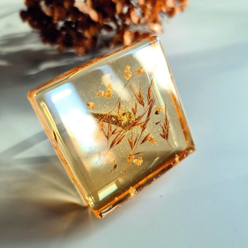 Square Honey Knobs With Dried Grass Transparent Handles Fit | Etsy