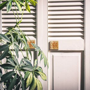 Square Honey Knobs With Dried Grass Transparent Handles Fit - Etsy