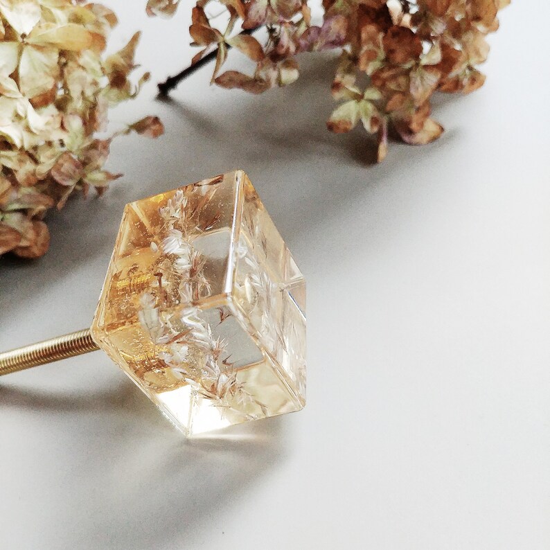 Square Honey Knobs With Dried Grass Transparent Handles Fit | Etsy