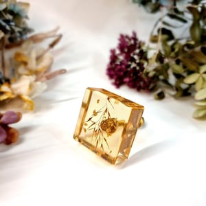 Square Honey Knobs With Dried Grass Transparent Handles Fit - Etsy