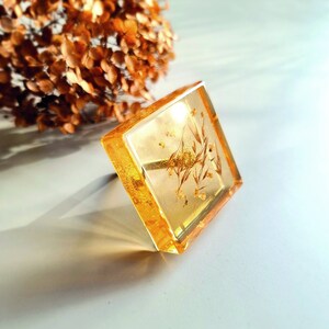 Square Honey Knobs With Dried Grass Transparent Handles Fit - Etsy