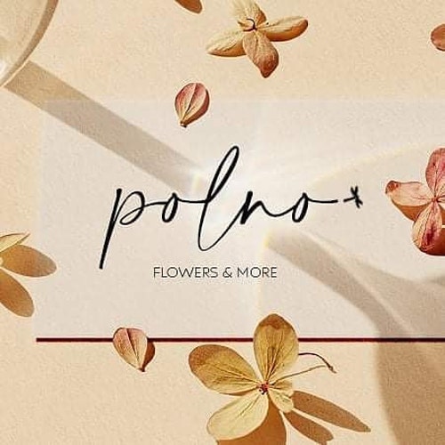 POLNO - Etsy España