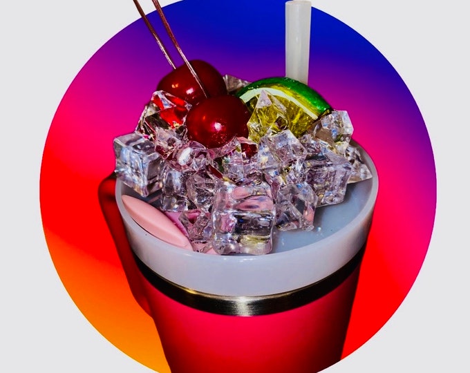Stanley Ice Topper-fruit - Etsy