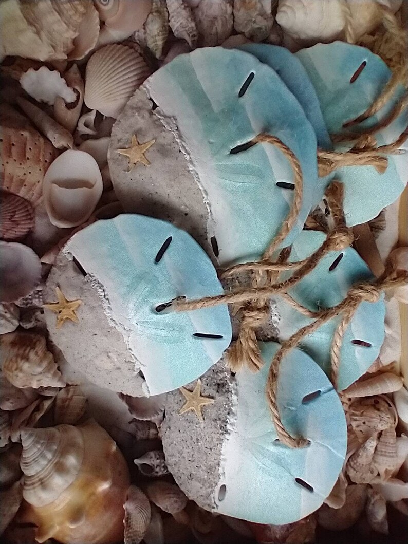 Hand Painted Sand Dollar Beach Ornament With Sand and Shells - Etsy
