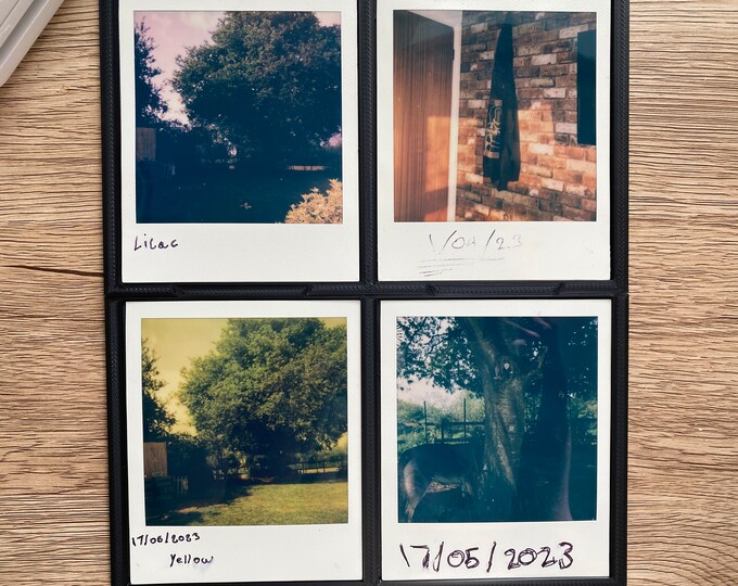 Polaroid Scan Adapter, Removes Newton Rings / Interference Patterns ...