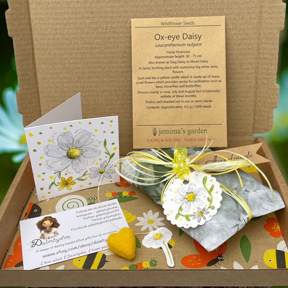 Letterbox Daisy Gift Letterbox Daisies Daisy Gifts for Her - Etsy UK