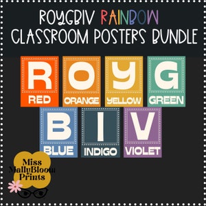 Classroom Poster Bundle, ROYGBIV Rainbow Art Classroom Decor Bundle ...