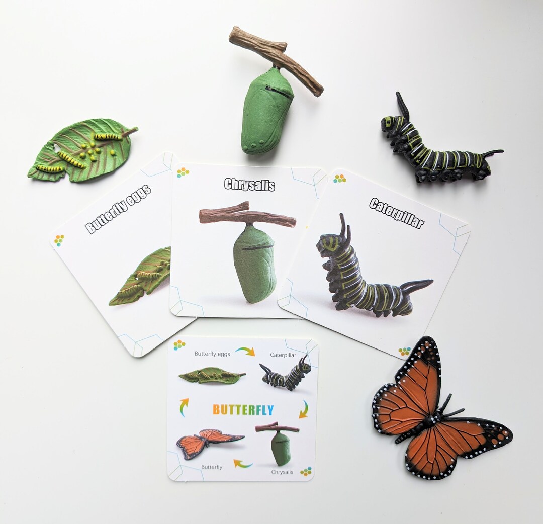 Butterfly Life Cycle Montessori Learning Kit Buttetfly Figures ...