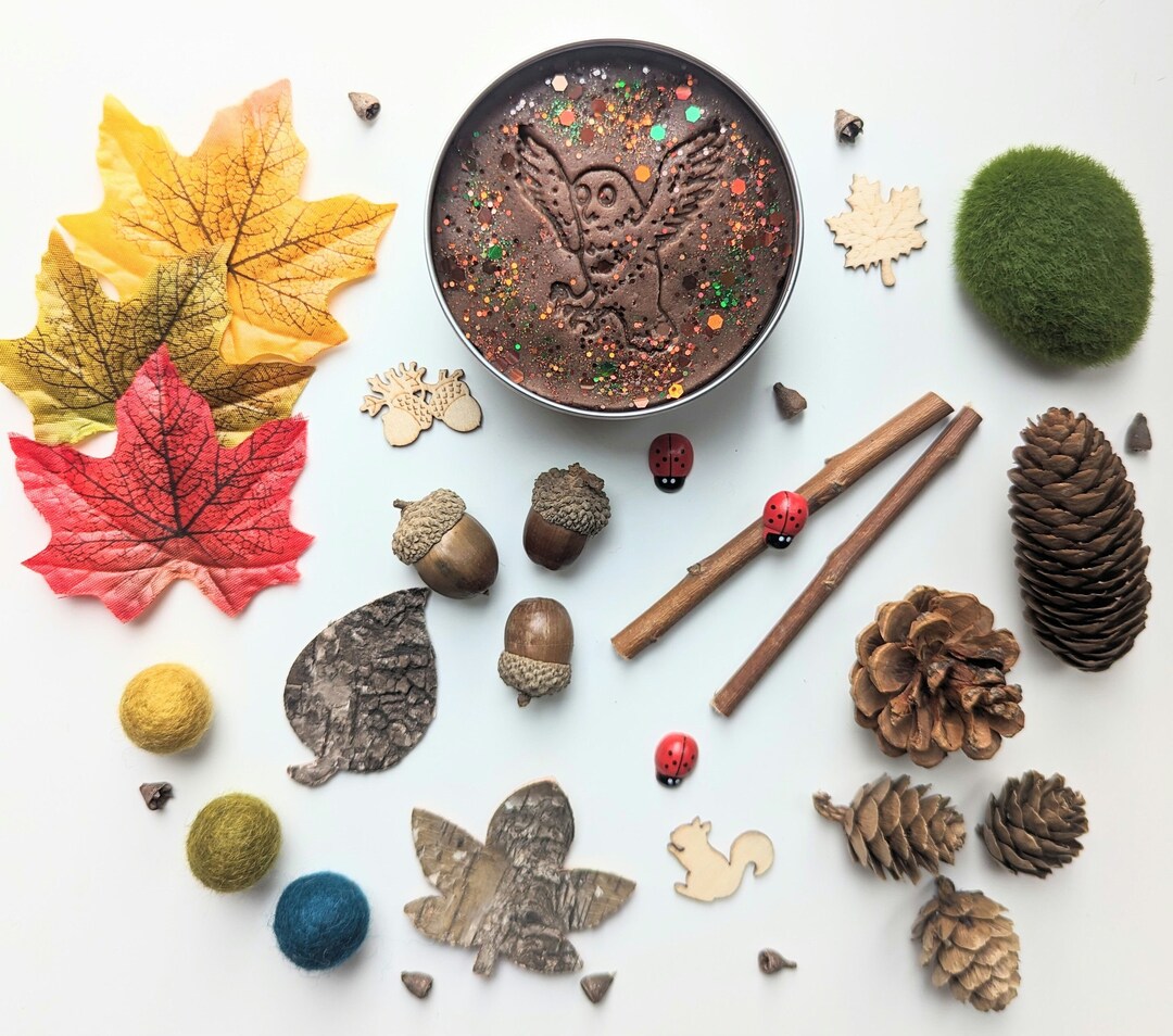 Autumn Woodland Sensory Play Dough Kit Owl Play Dough Chocolate Play ...