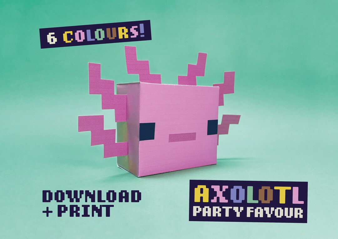 Axolotl Theme Pixel Gamer Party Party Bag Favour Box Kids Children's ...