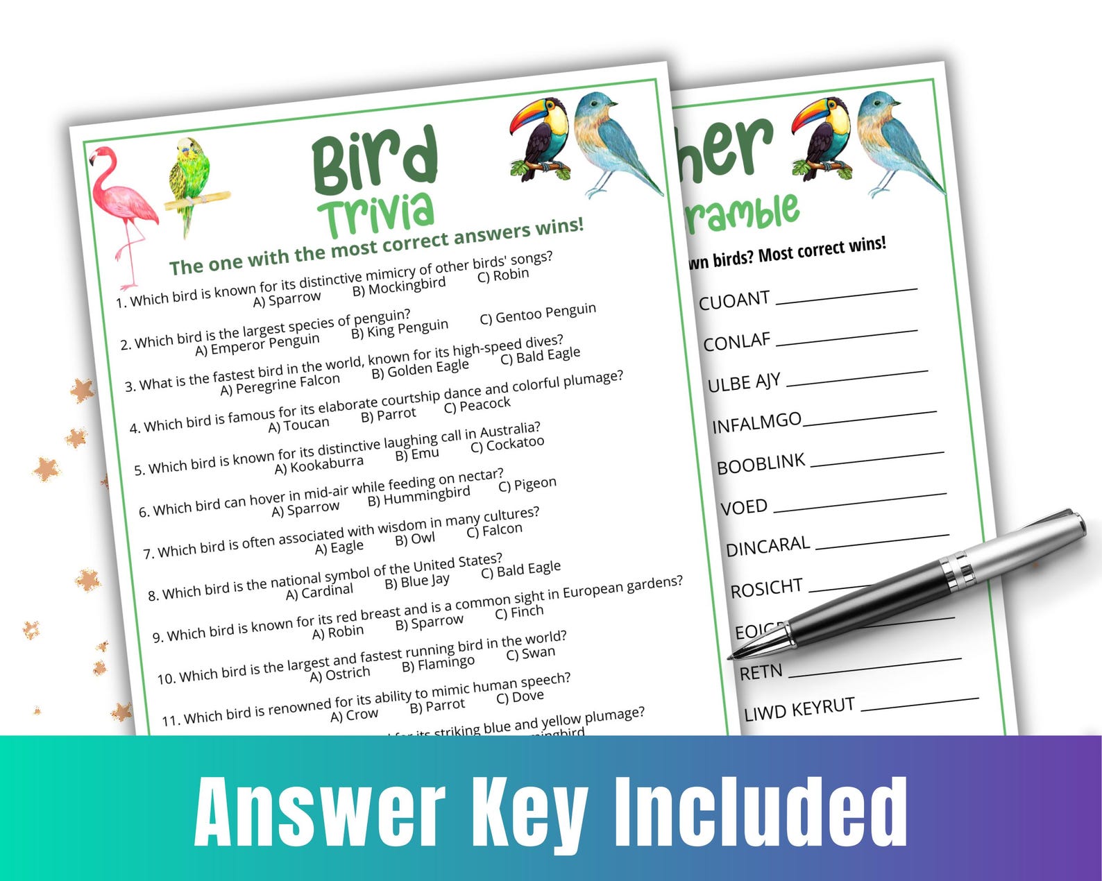 Bird Trivia Game and Word Scramble, Spring Season Quiz, Bird Watching ...