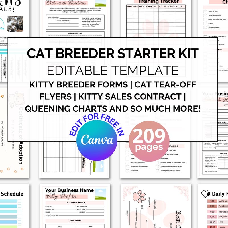 Kitten Calendar - Etsy