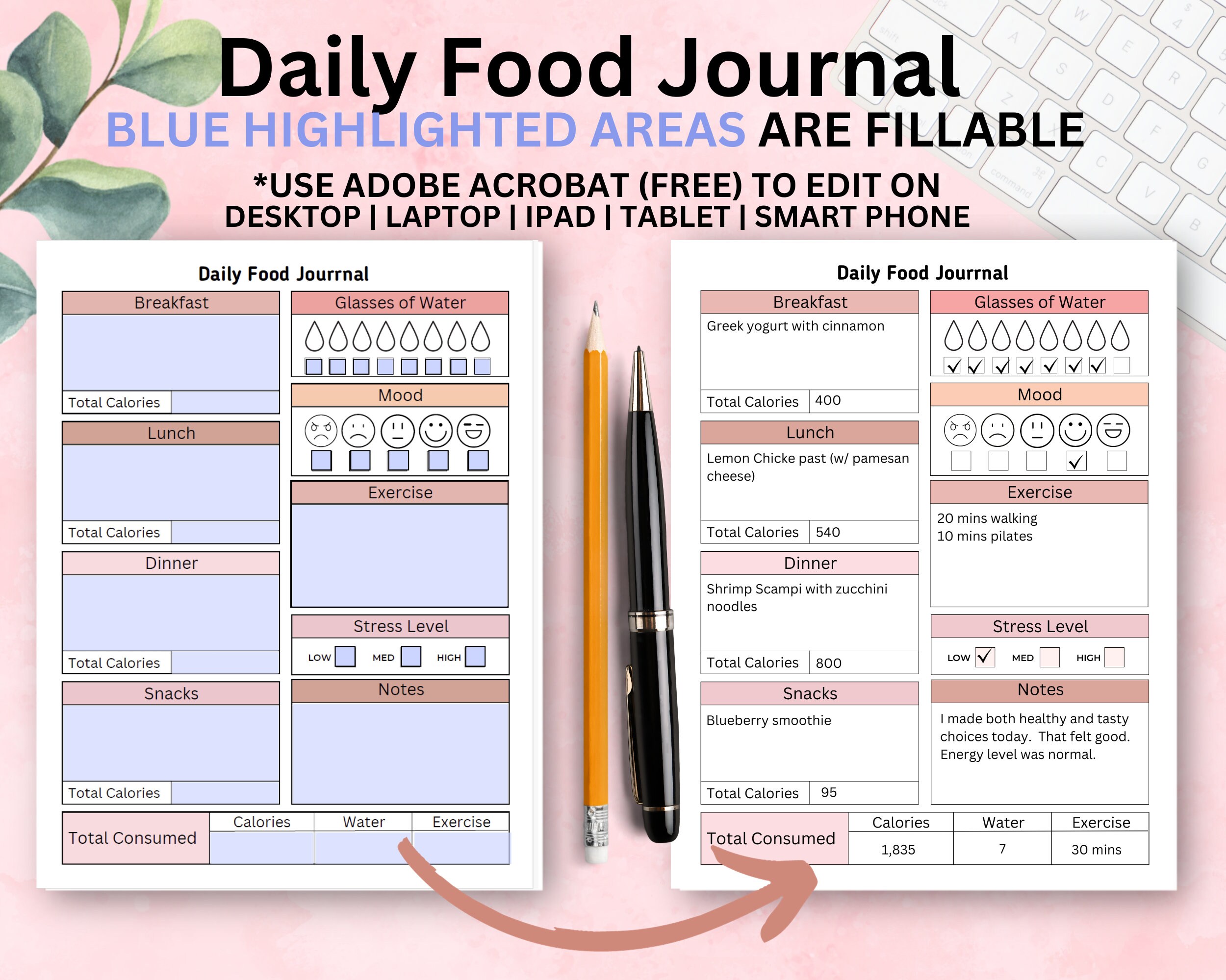 Editable Daily Food Journal Printable Daily Food Journal - Etsy