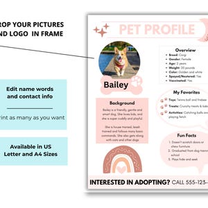 Editable Pet Profile CANVA Template, Dog Adoption Marketing Flyer ...