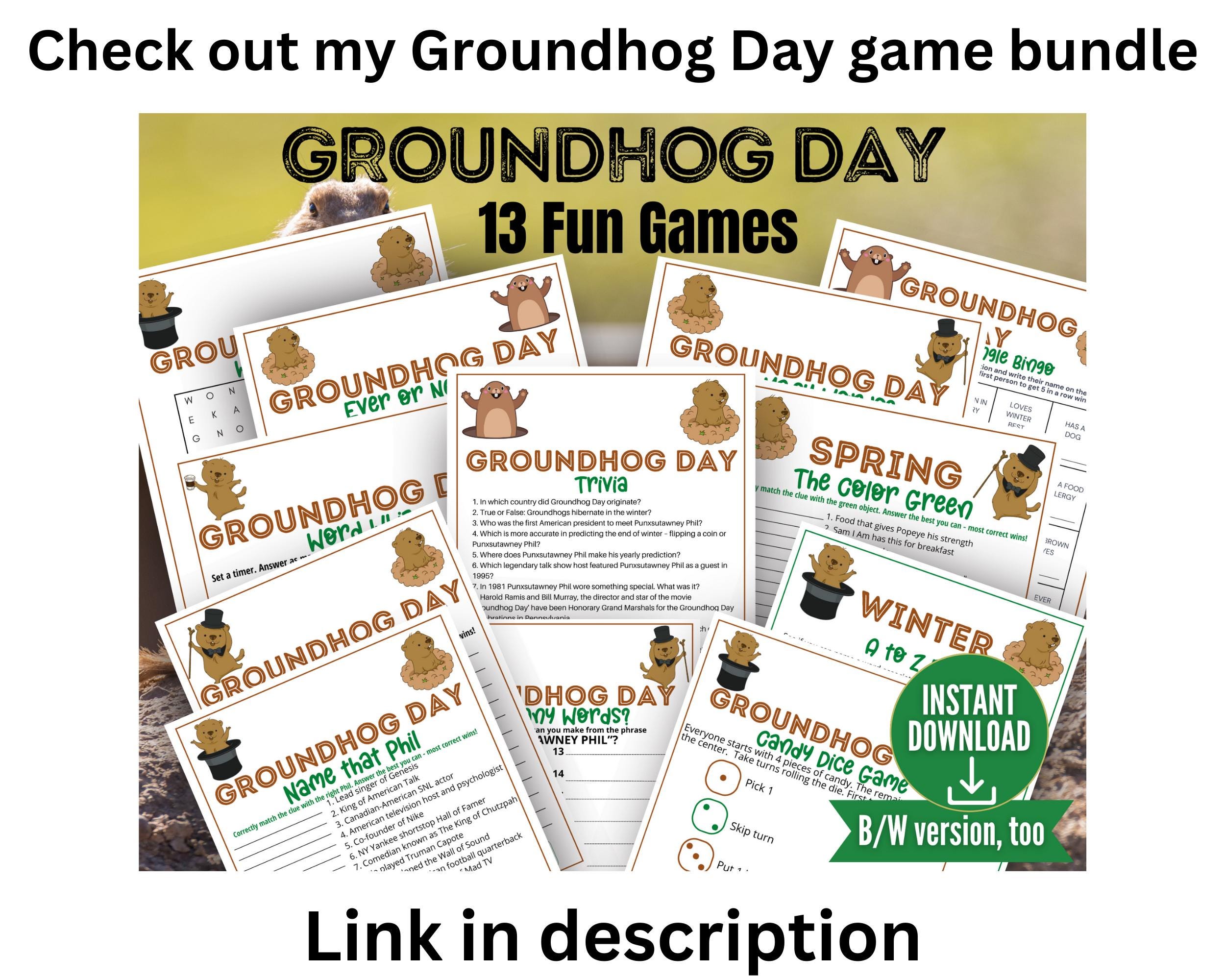 What's Your Groundhog Name Game WITH NAMETAGS + Sign,game, Groundhog ...
