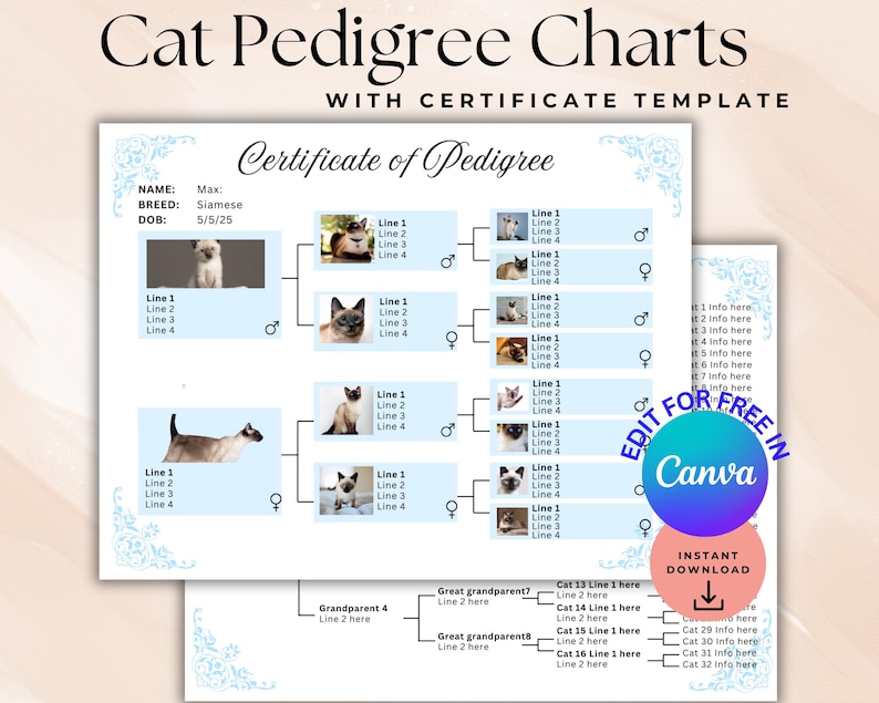 Editable Cat Pedigree Charts, Kitten Certificate of Pedigree,cat ...