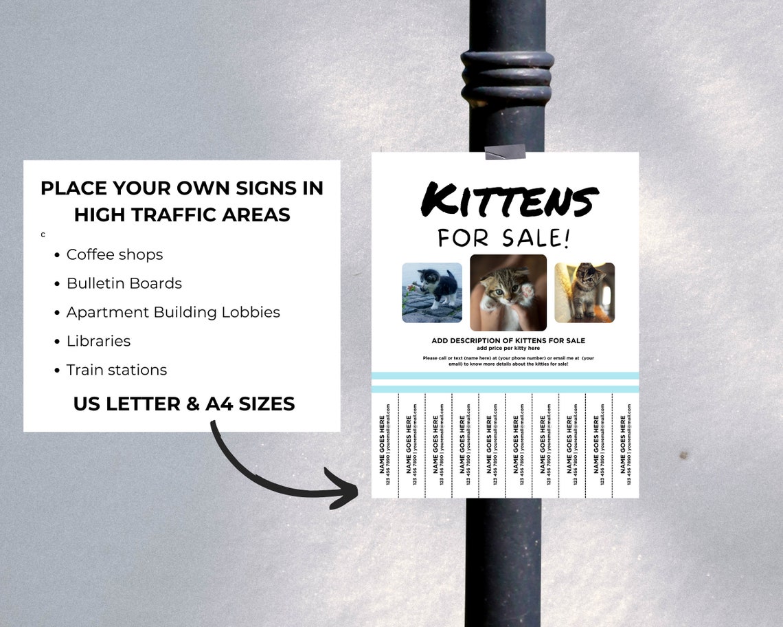 Editable Kitten Marketing Flyer, Cat Adoption Kitty Tear off Flyer ...