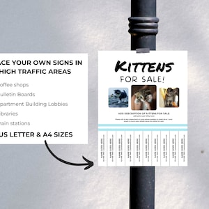 Editable Kitten Marketing Flyer, Cat Adoption Kitty Tear off Flyer ...